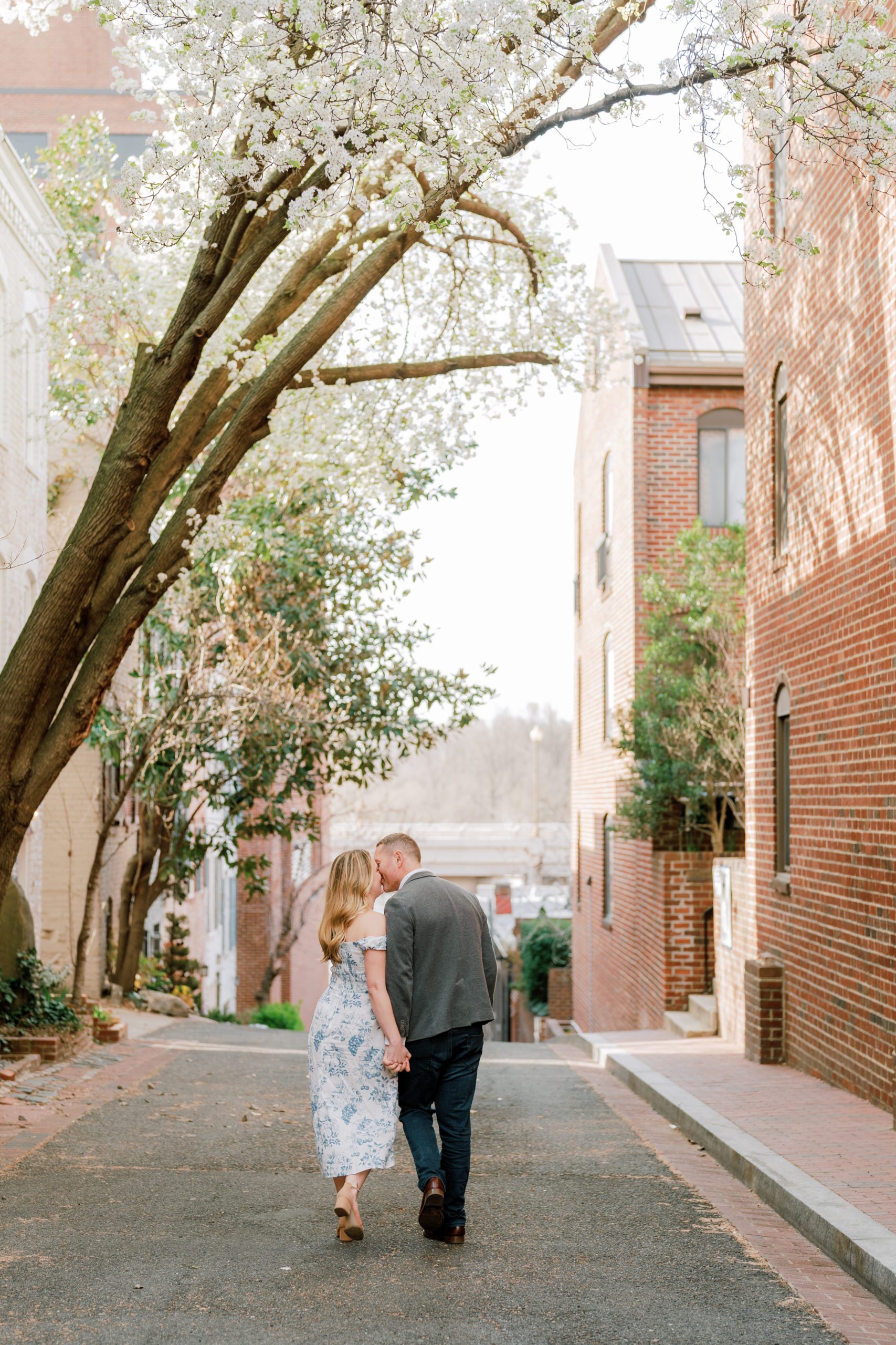 Cherry Blossom Engagement Session along the Tidal Basin and Georgetown ...